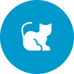 Tango's Place Cat Boarding | RSPCA ACT