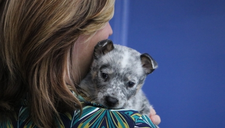Our Community | RSPCA ACT